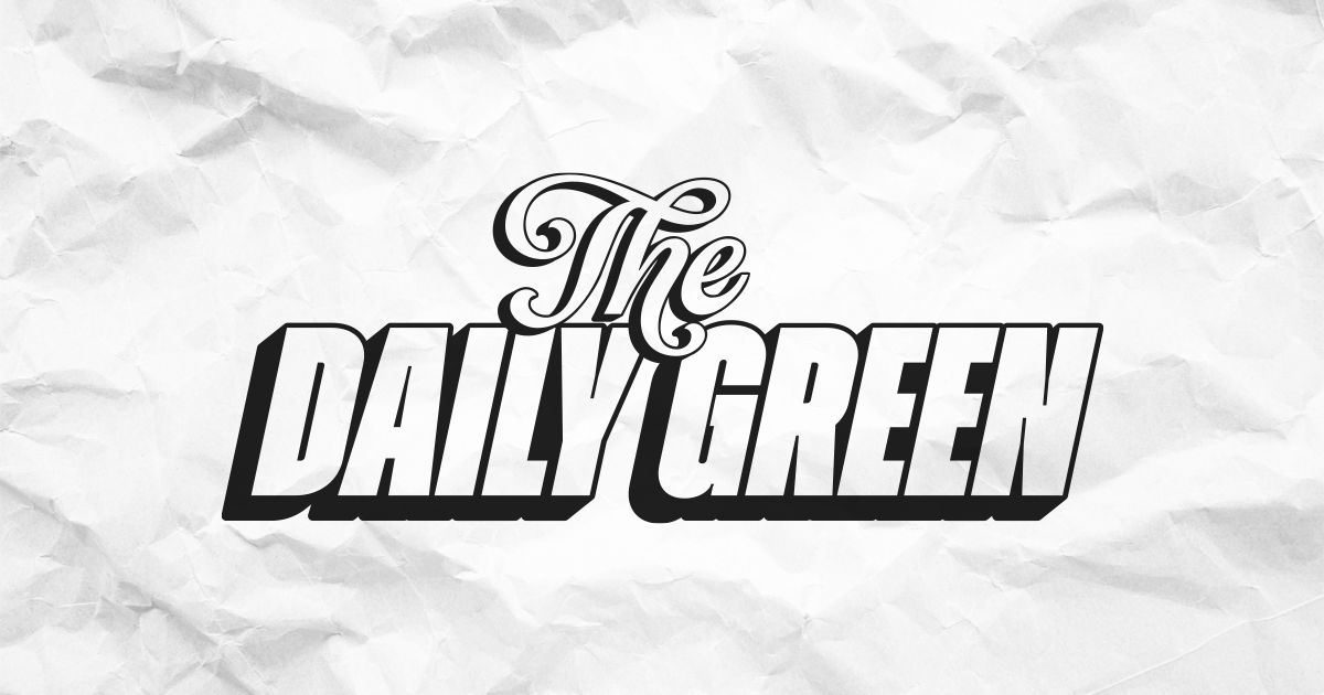 Grön Grön | Tropical Twist MEGA Pearl | Gummy | 100mg - The Daily Green ...